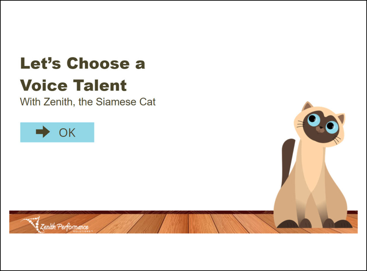 Portfolio - Zenith Performance Solutions